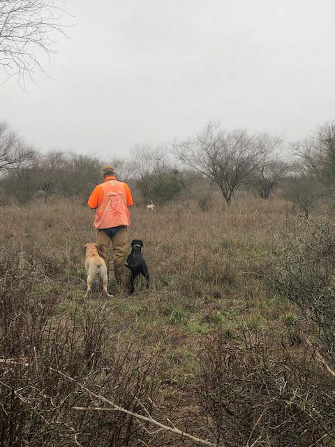 Photo Gallery - The 180 Ranch