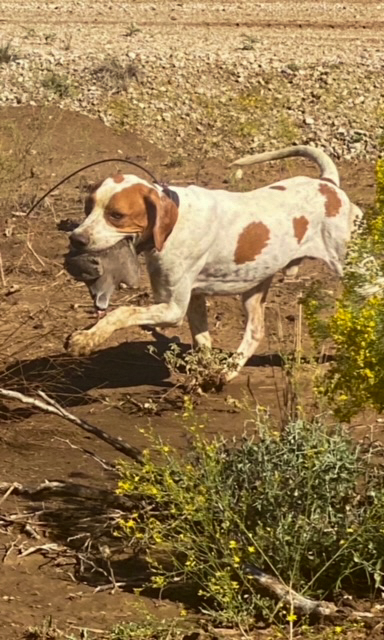 Photo Gallery - The 180 Ranch